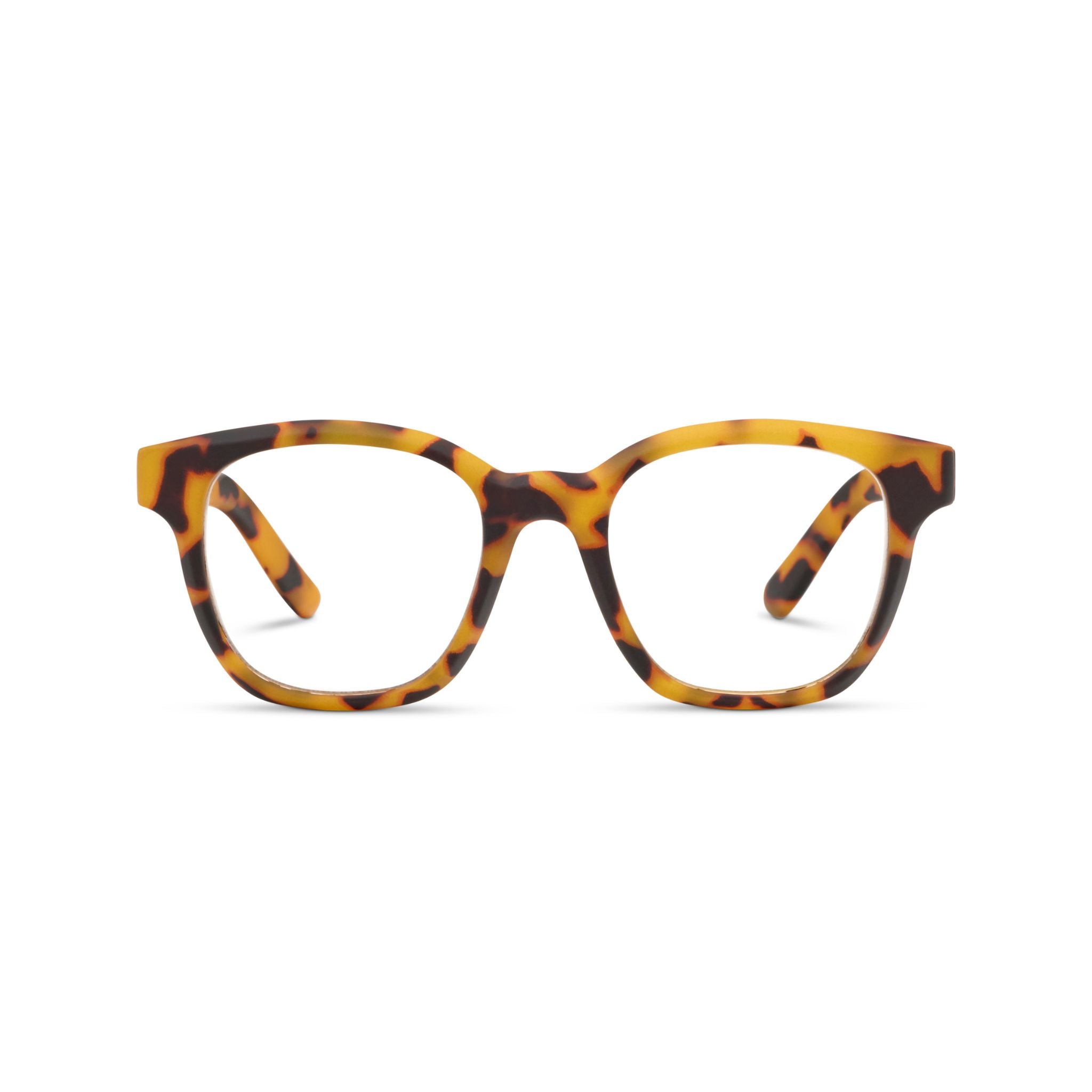Zinnia (Blue Light) - Tokyo Tortoise / Reading / 1.50 - Peepers by ...